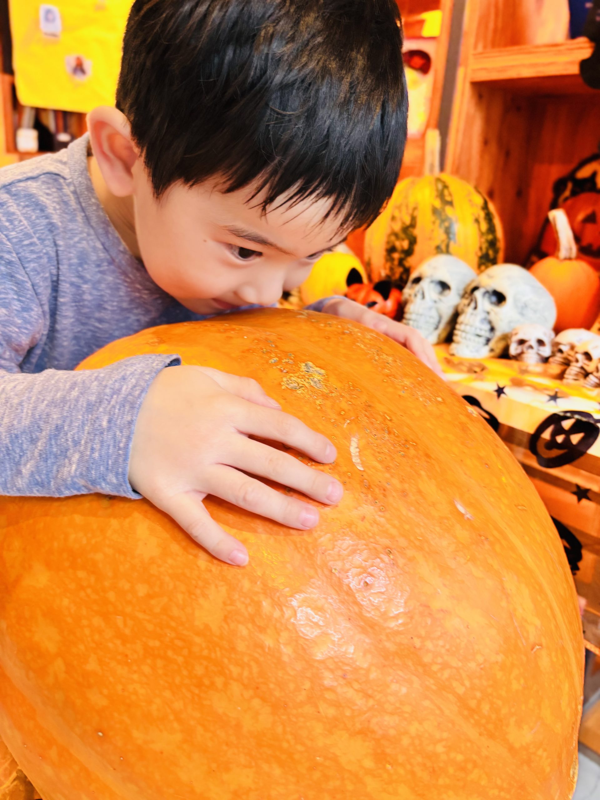 Huge Pumpkin 🎃！ - Prime Academic Preschool上北沢校（PAP上北沢）